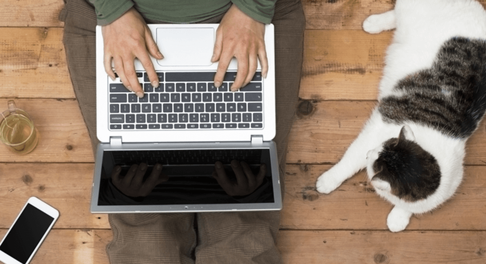This Convention Is Powered By All the Internet’s Cat Videos | PCMA