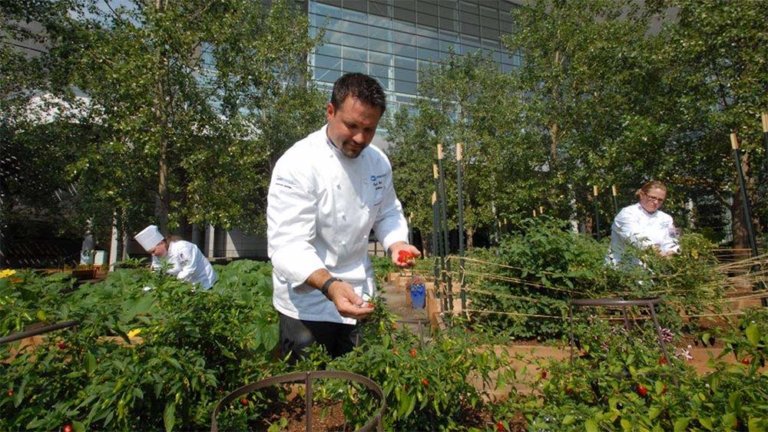 Putting a Lid on Sky-High Food and Beverage Costs