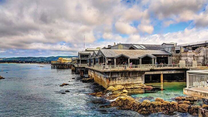 Monterey Bay Aquarium’s Sustainability Efforts Cause Ripple Effect