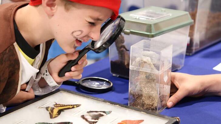 Acquisition of Denver Comic Con Opens Doors for Pop Culture Classroom