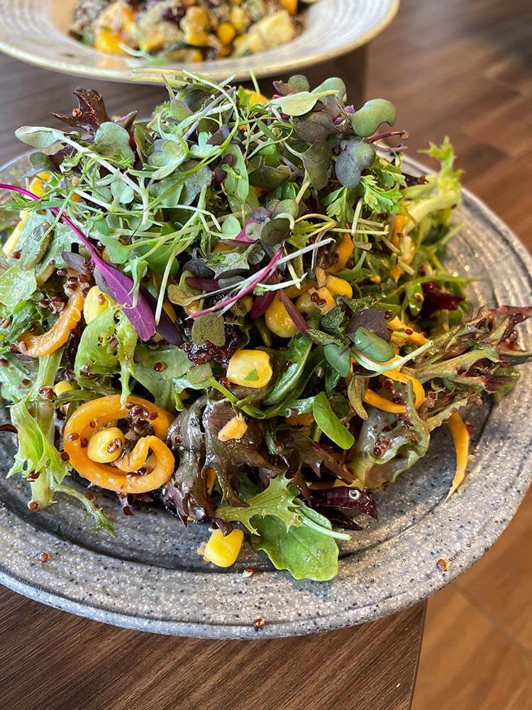 Recovering the Cuisine of America’s Indigenous Peoples