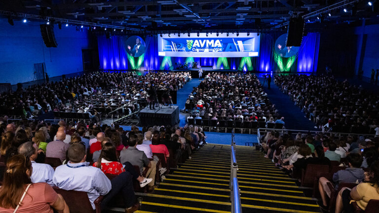 How the AVMA Curated an Only-in-Austin 2024 Annual Convention